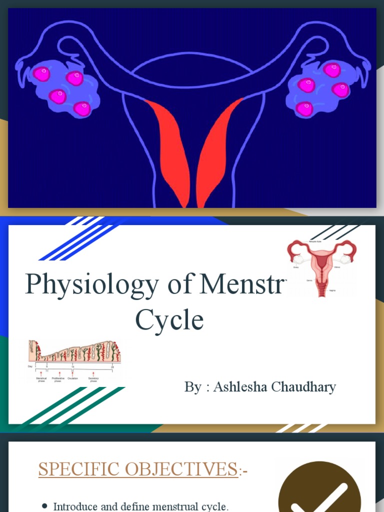 Physiology of Menstural Cycle | PDF | Menstrual Cycle | Luteinizing Hormone