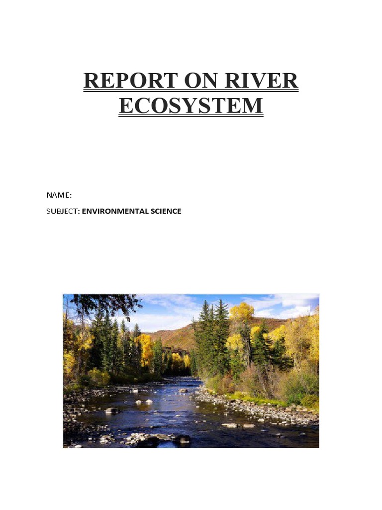 Report on River Ecosystem | PDF | Sewage | Ecology