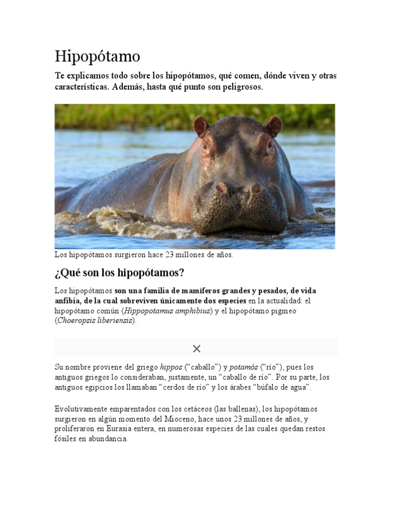 Hipopotamos | PDF | Hipopótamo | Mamíferos
