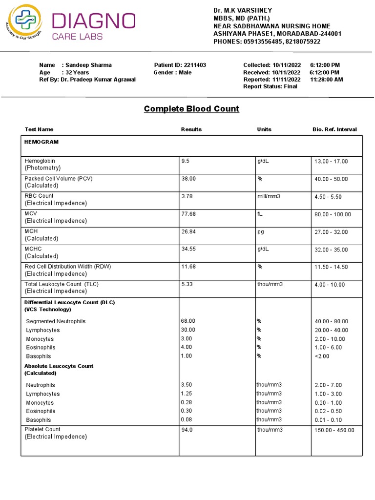 Analysis of Complete Blood Count Results Indicating Anemia in a 32 Year ...