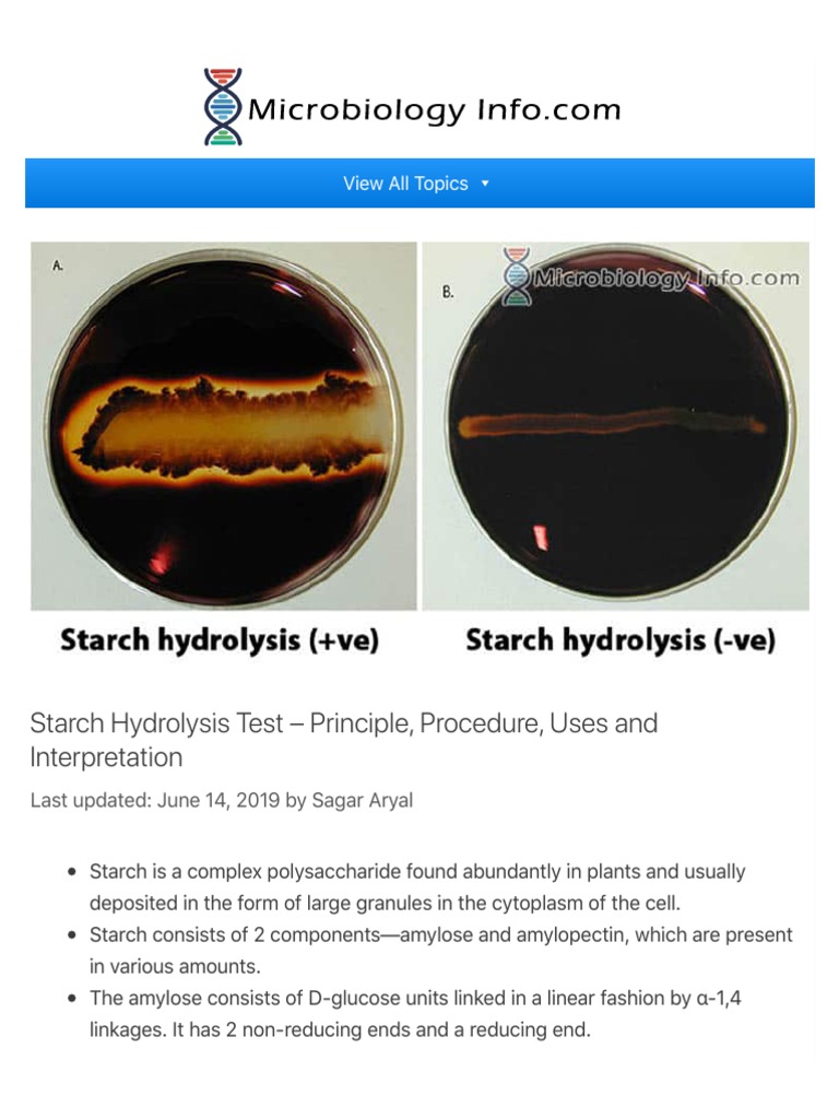 Starch Hydrolysis Test - Principle, Procedure, Us… | PDF | Starch ...