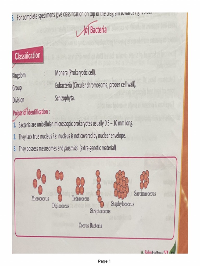 Study of Plant Specimens and Identification With Reason | PDF