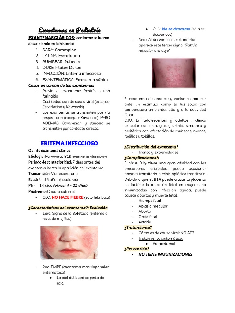 RESUMEN Enfermedades Eruptivas de La Infancia | PDF | Sarampión ...