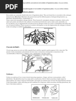 Class 12 Biology Lab Manual Guide | PDF | Chromosome | Cell Nucleus