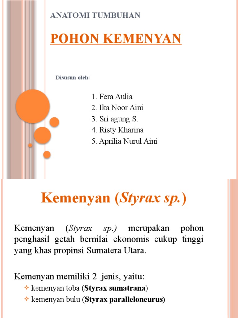 Anatomi Tumbuhan Kemenyan | PDF