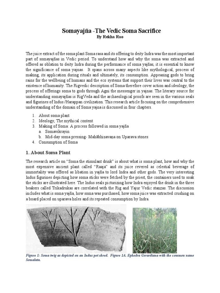 Understanding Vedic Soma Sacrifice | PDF | Vedas