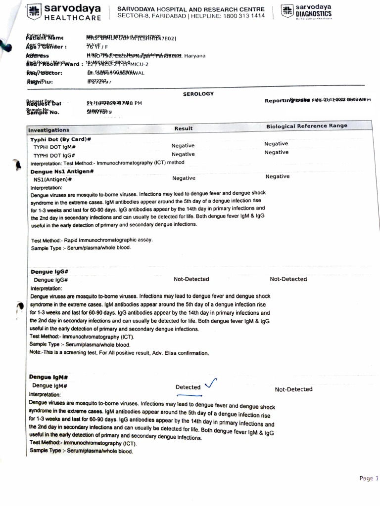 Dengue Report | PDF | Epidemiology | Immunology
