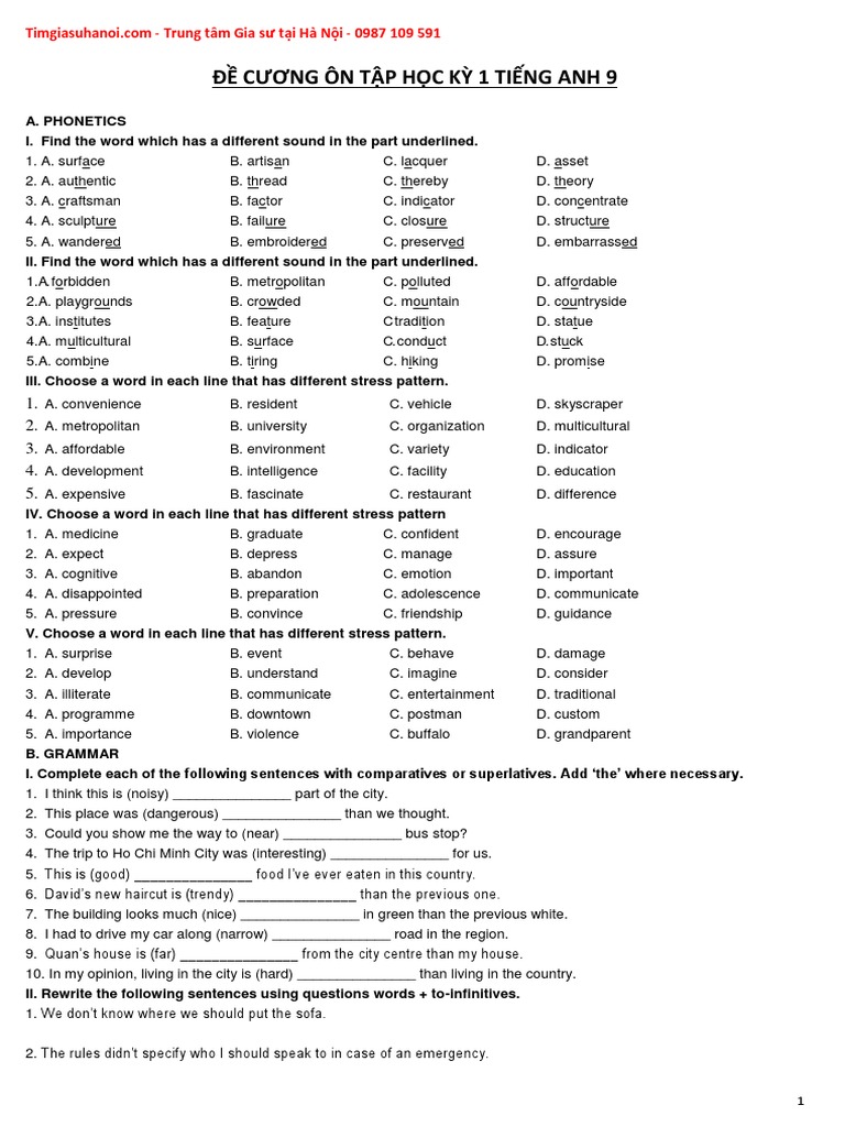 ĐỀ CƯƠNG ÔN TẬP HK I ANH 9 | PDF | Cyberbullying