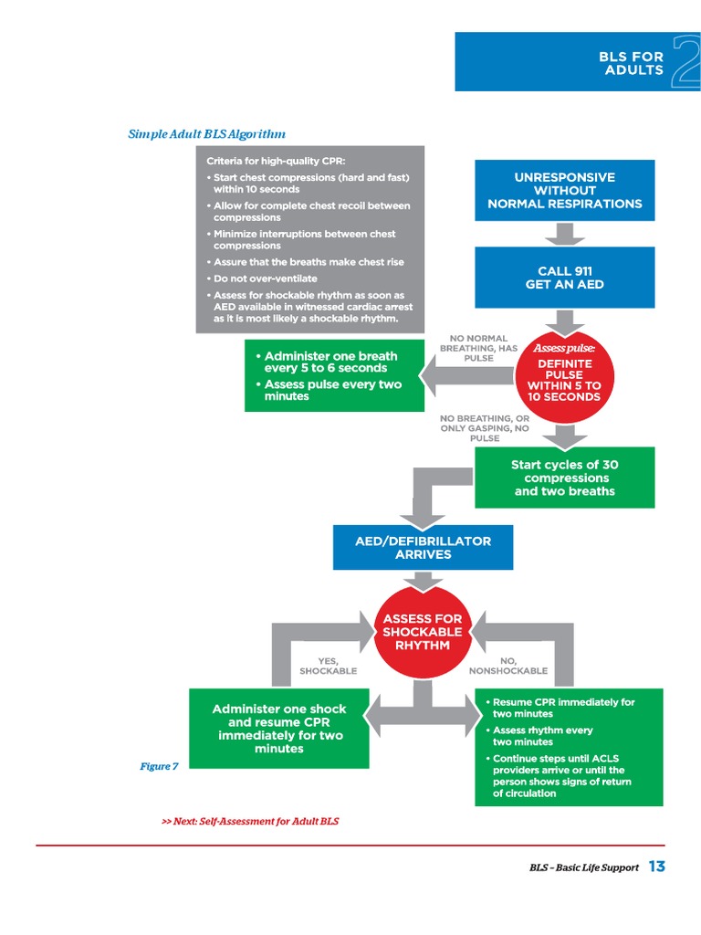 Simple BLS 2022 Algorithm | PDF