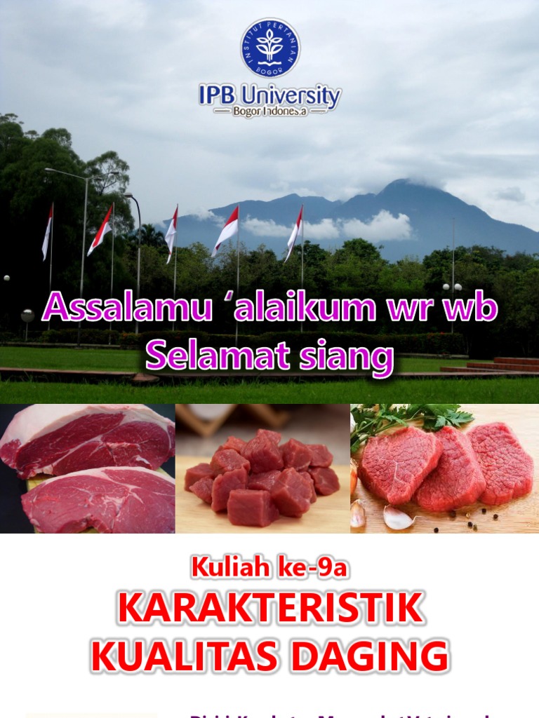 Daging Lokal | PDF