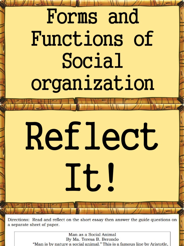 Social Organization: Functions & Theories | PDF | Philosophical ...