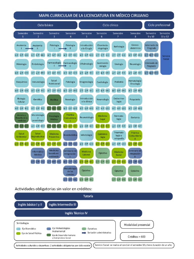 Medico Cirujano Mapa Curricular | PDF