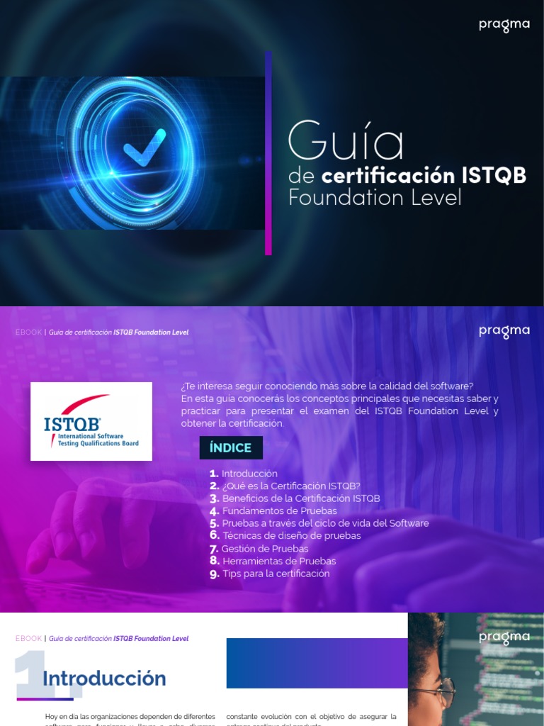 Guía Básica de Certificación ISTQB | Descargar gratis PDF | Calidad (comercial) | Software