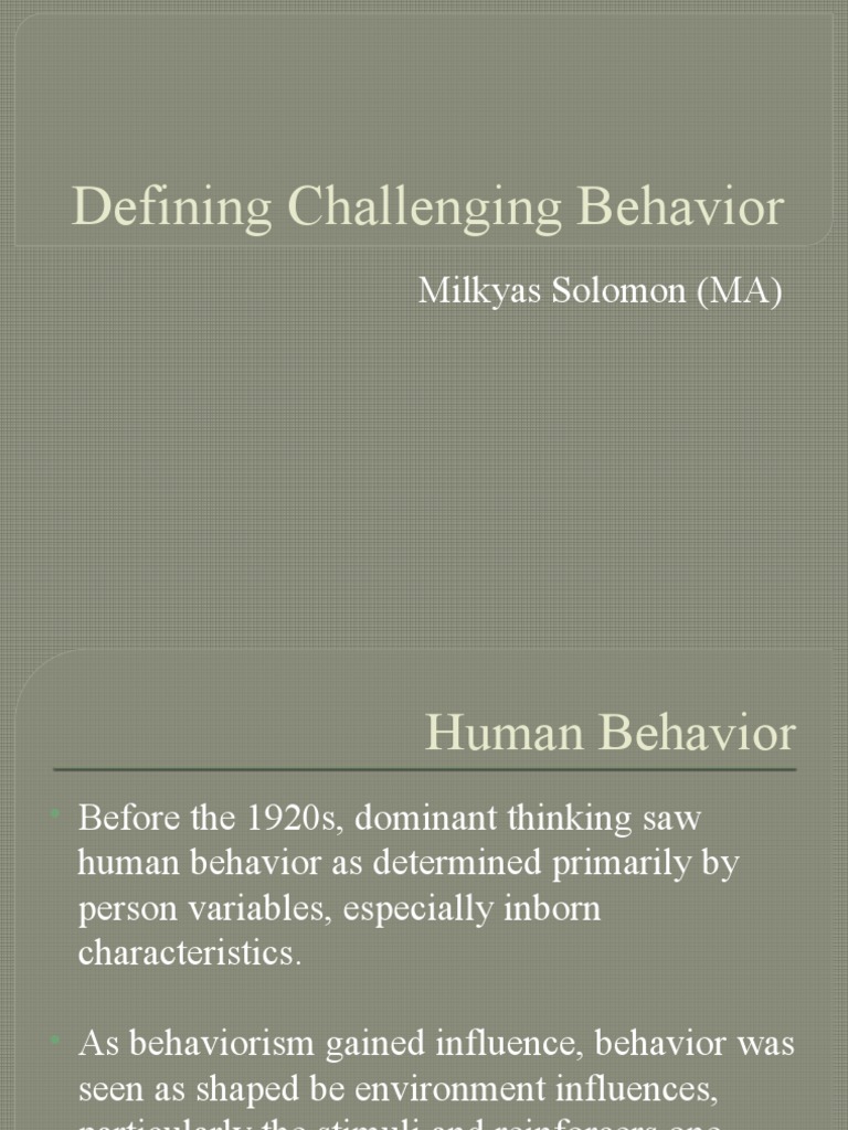 Defining Challenging Behavior by Milkyas Solomon | PDF | Aggression ...