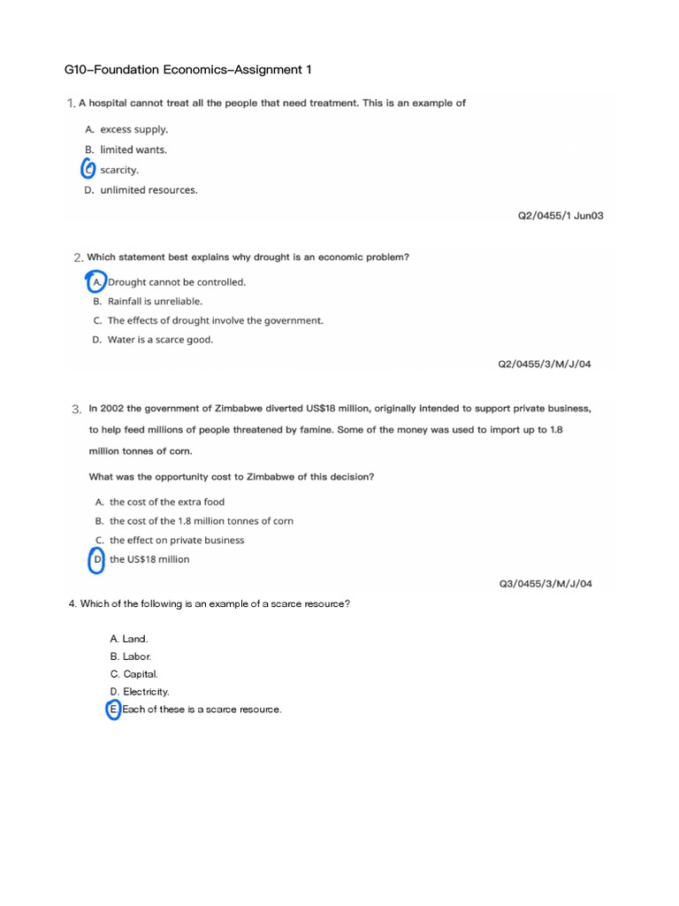 G10-Foundation Economics-Assignment 1 | PDF