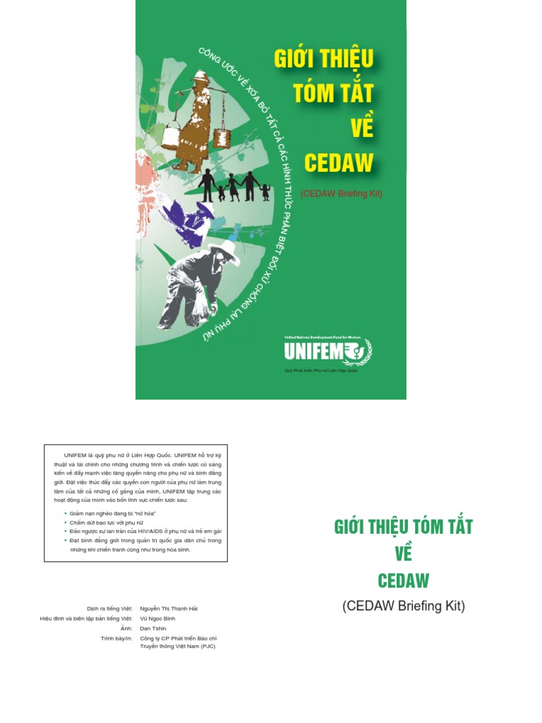 Giới Thiệu Tóm Tắt Về CEDAW | PDF