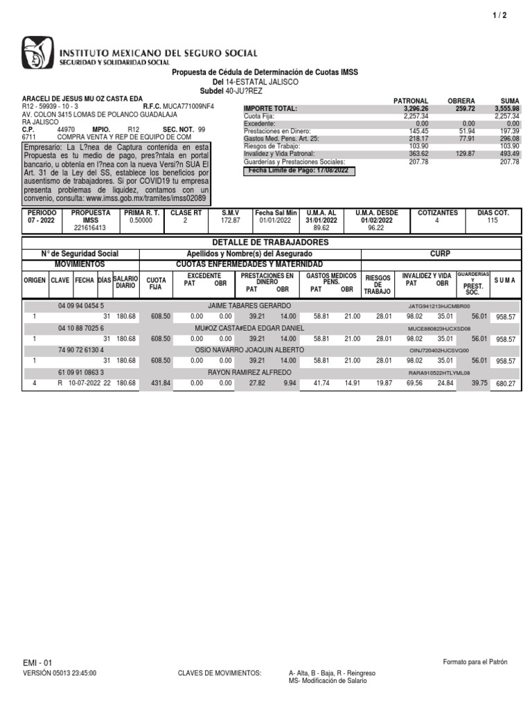 07 Formato EMA IMSS Jul 2022 | PDF