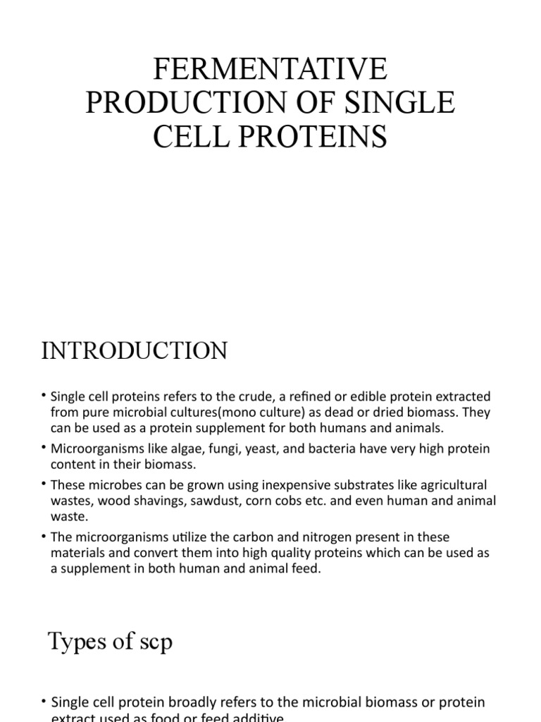 Fermentative Production of Single Cell Proteins | PDF | Microorganism | Yeast