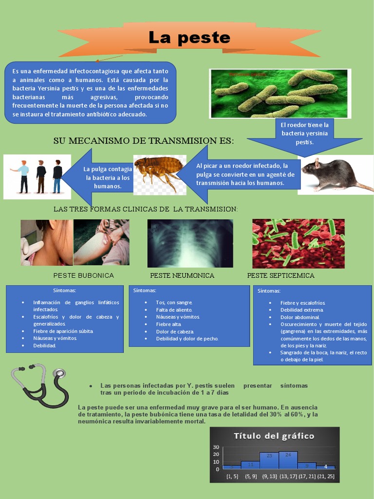 La peste bubónica: una enfermedad infecciosa mortal causada por la ...