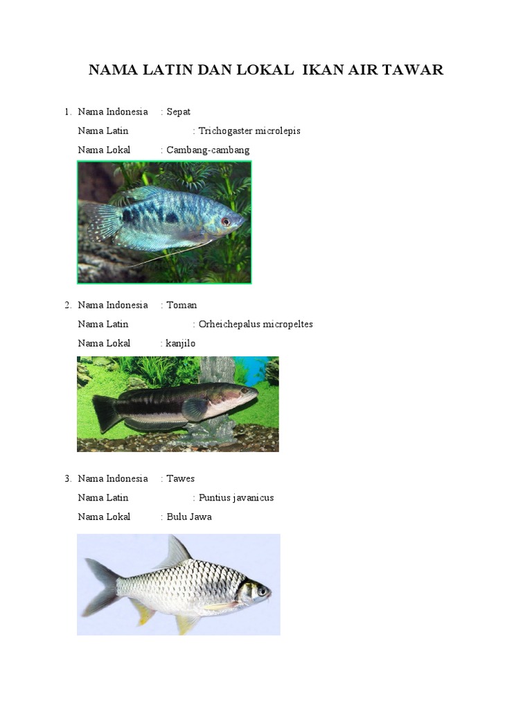 Nama Ikan Air Tawar | PDF