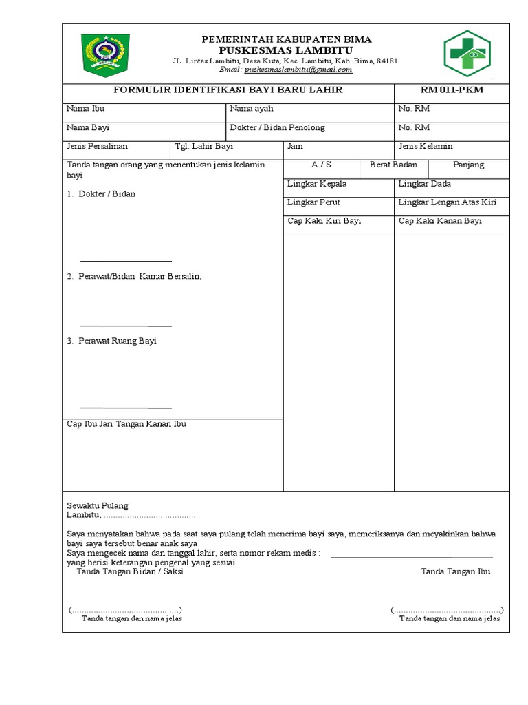 Formulir Identifikasi Bayi Baru Lahir | PDF | Kesehatan Holistik