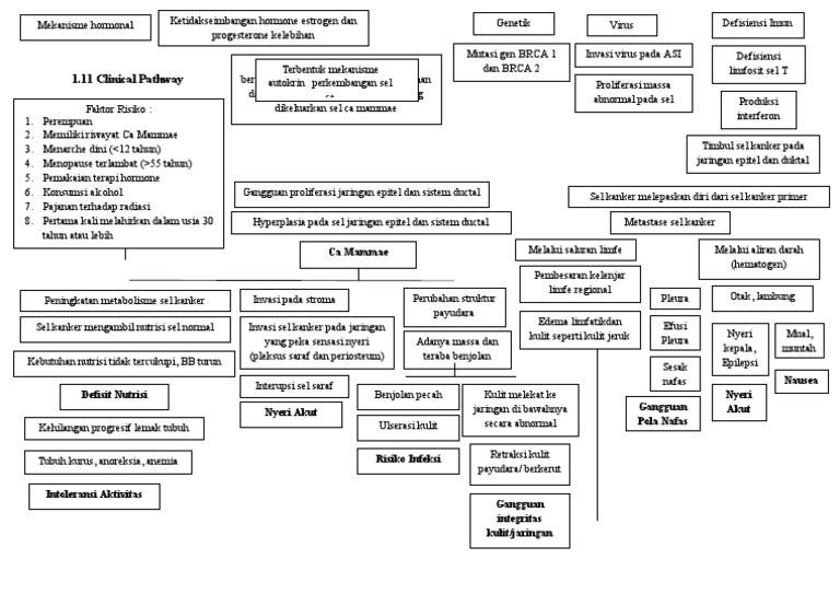 Pathway Ca Mammae - Fiks | PDF