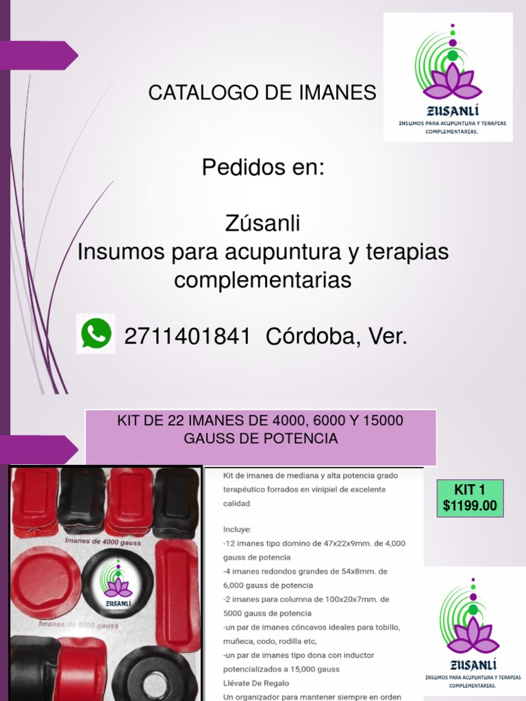 Catalogo Kit Imanes Zusanli Insumos | PDF