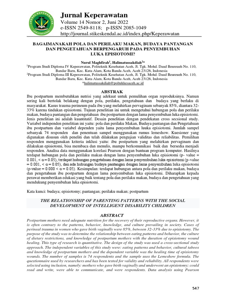 Jurnal | PDF