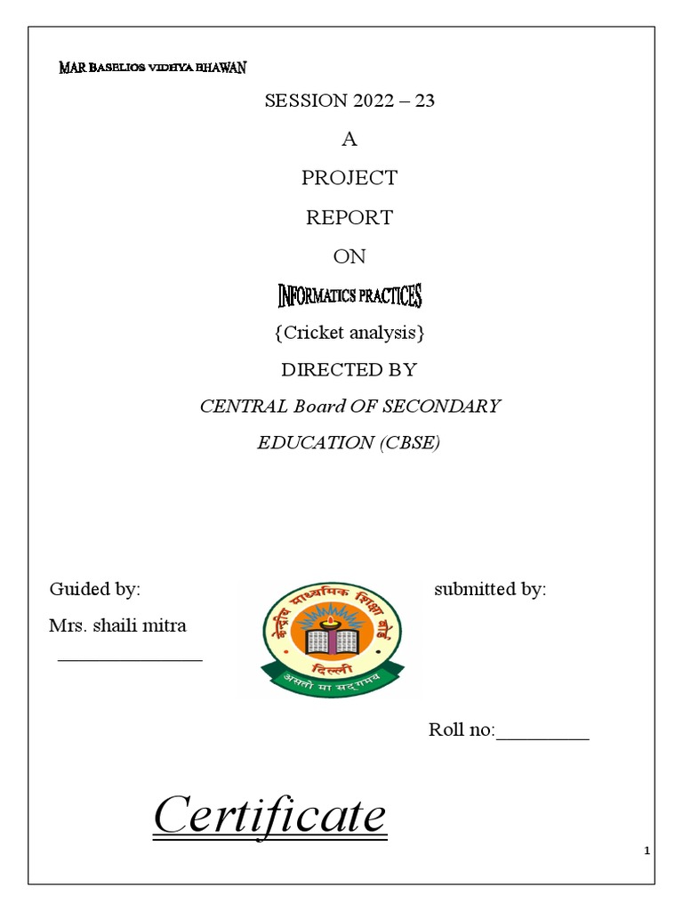 Cricket Analysis Project Report | PDF | Software Engineering | Computer ...