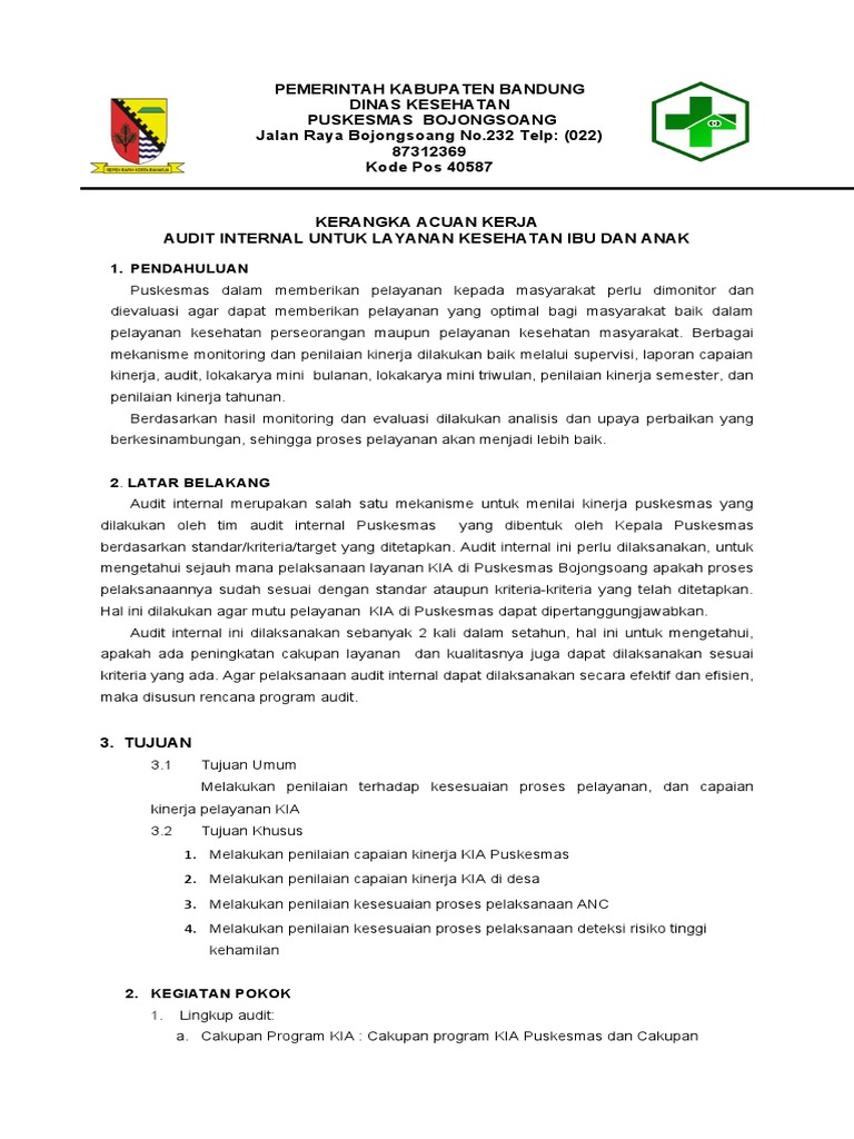 KAK Audit Internal | PDF
