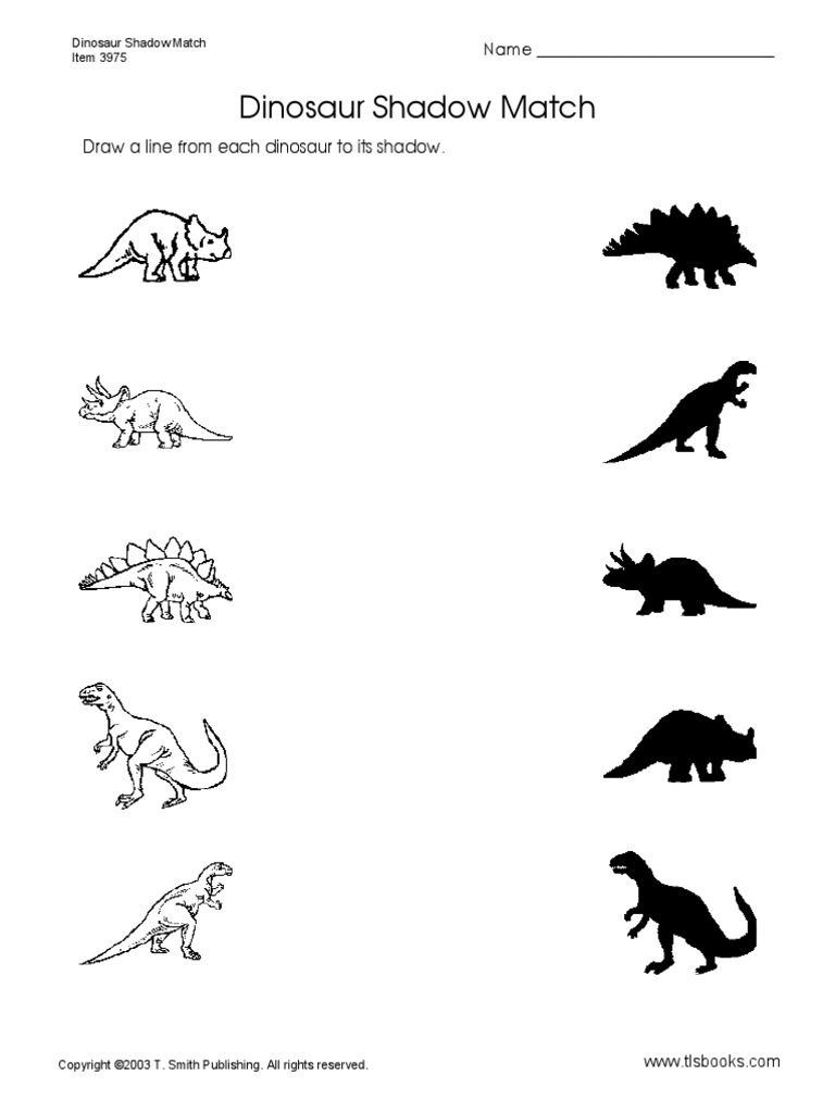 Dinosaur Shadow Match | PDF | Home & Garden | Young Adult