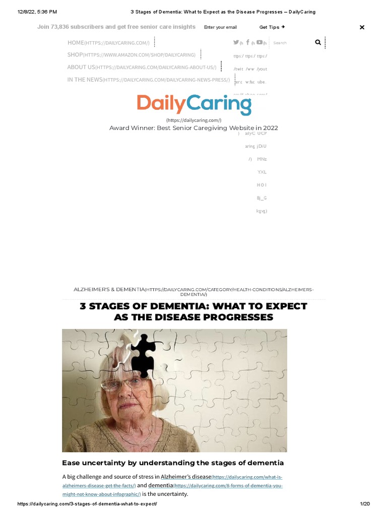 3 Stages of Dementia - What To Expect As The Disease Progresses ...