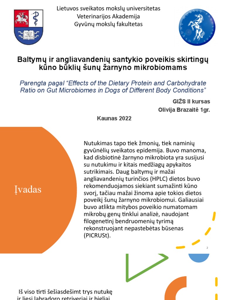 Straipsnio Analizė | PDF