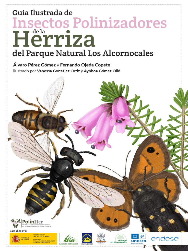 Guia Polinizadores Herriza2 | PDF | Mosca | Abejas