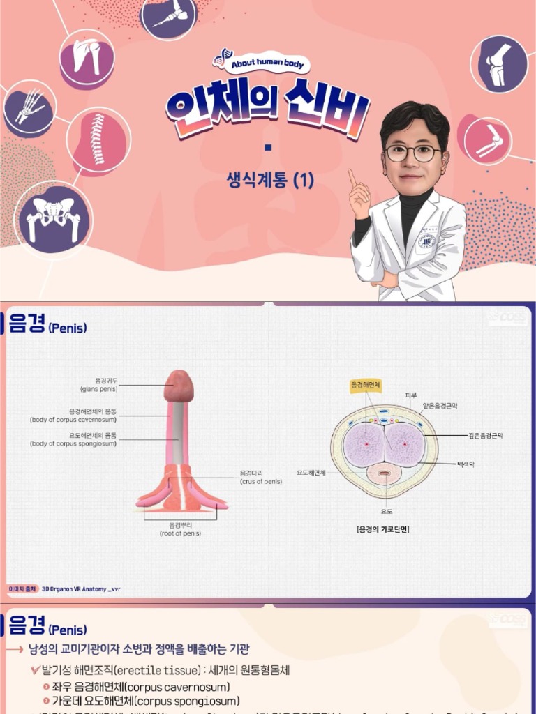 11주차 다운로드교안 Pdf 6202