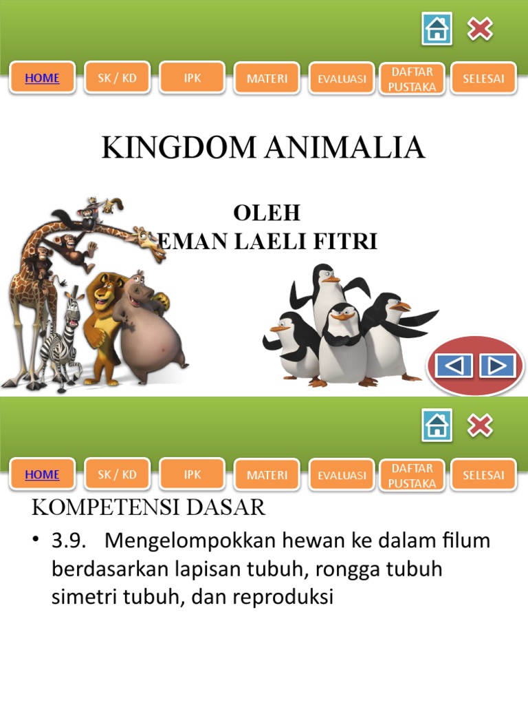 Kingdom Animalia | PDF