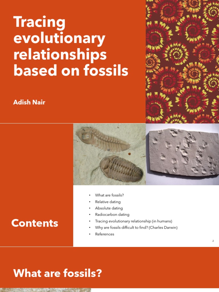 Fossil Dating and Evolutionary Insights | PDF | Fossil | Radiocarbon Dating