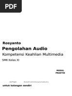 Announcer | PDF