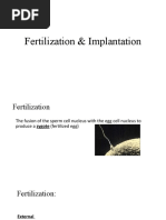 Fertilization and Implantation | PDF | Fertilisation | Uterus