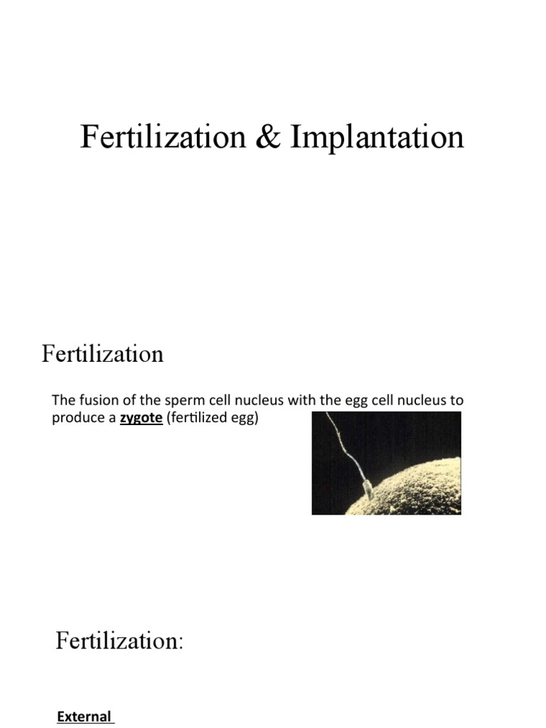 Fertilization & Implantation | PDF | Fertilisation | Implantation (Human Embryo)