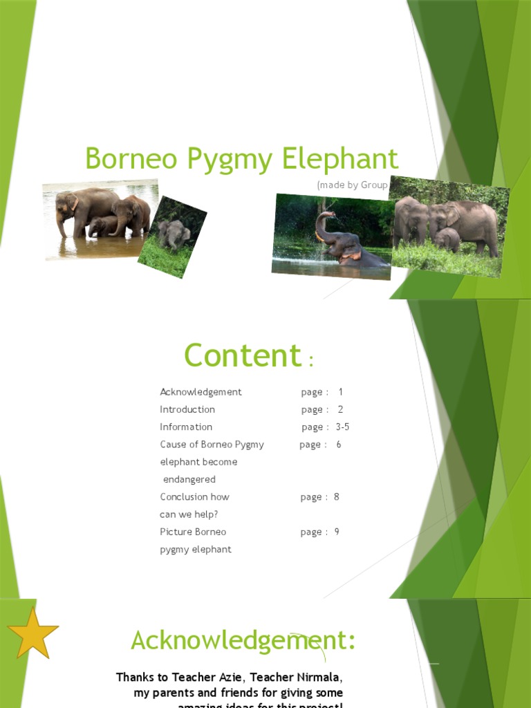 Borneo Pygmy Elephant Conservation Guide | PDF | Elephant | Borneo
