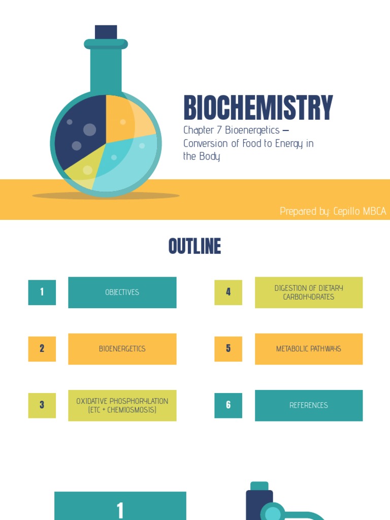 Conversion of Food Into Energy | PDF | Electron Transport Chain ...