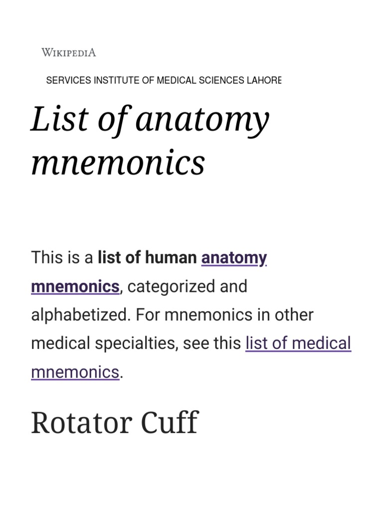 Anatomy Mnemonics Compilation | PDF | Aorta | Arm
