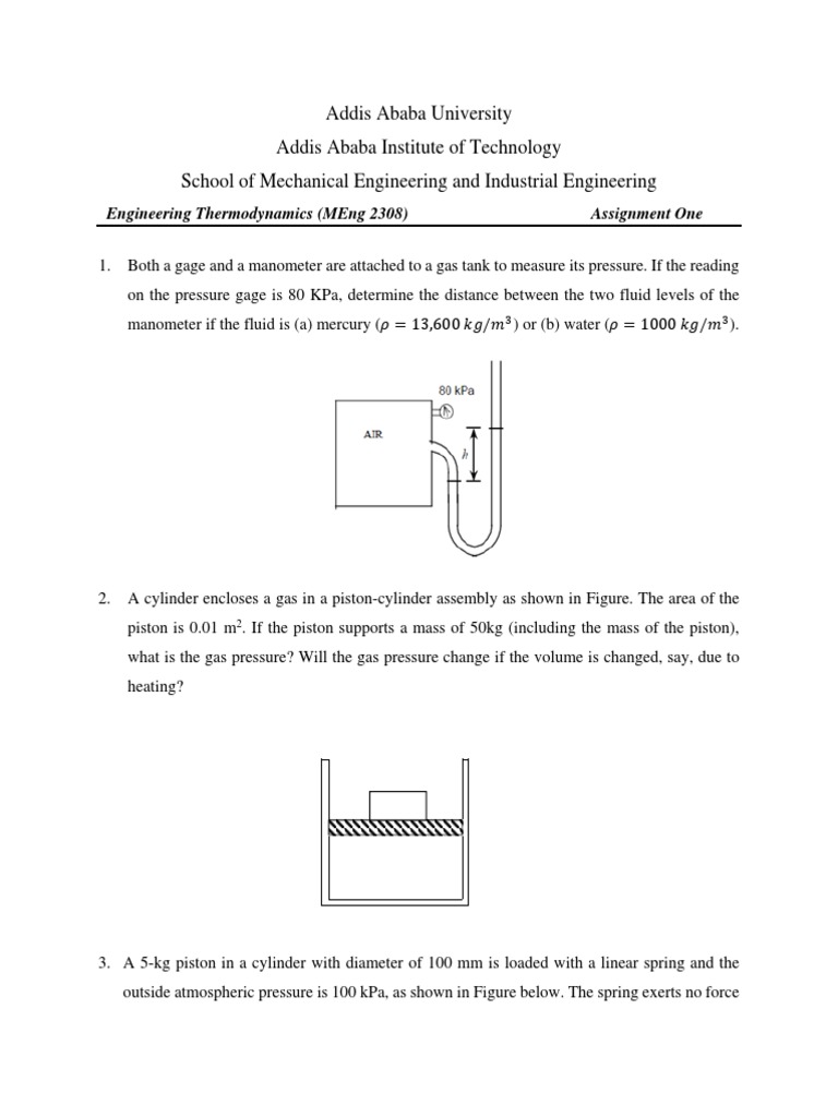 Chapter One Assignment 1 | PDF