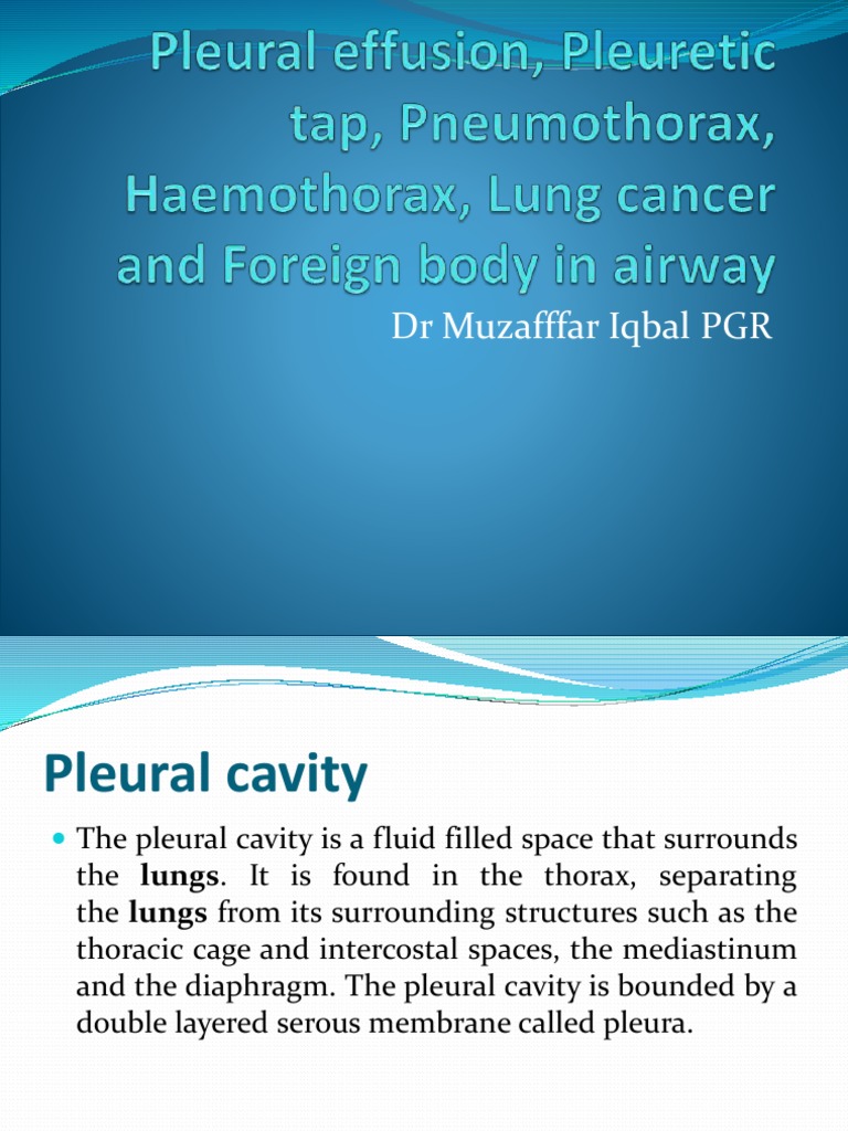 Pleural Anatomy 1st Year Clinical by DR Muzaffar | PDF | Lung | Thorax ...
