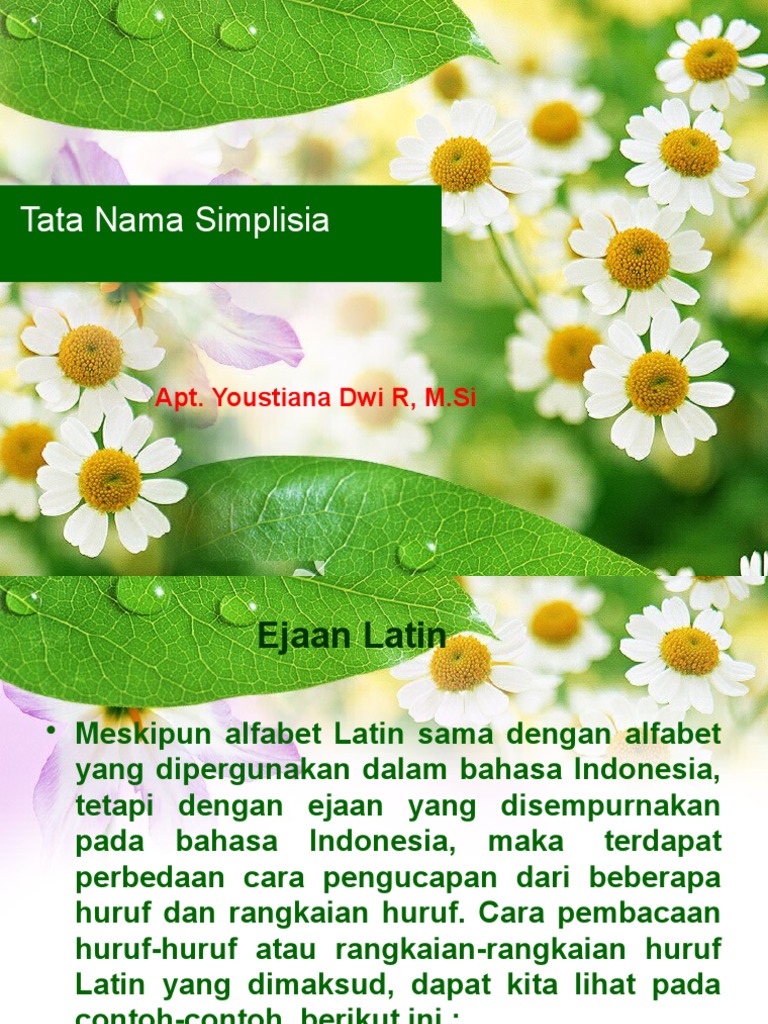 Tata Nama Simplisia | PDF