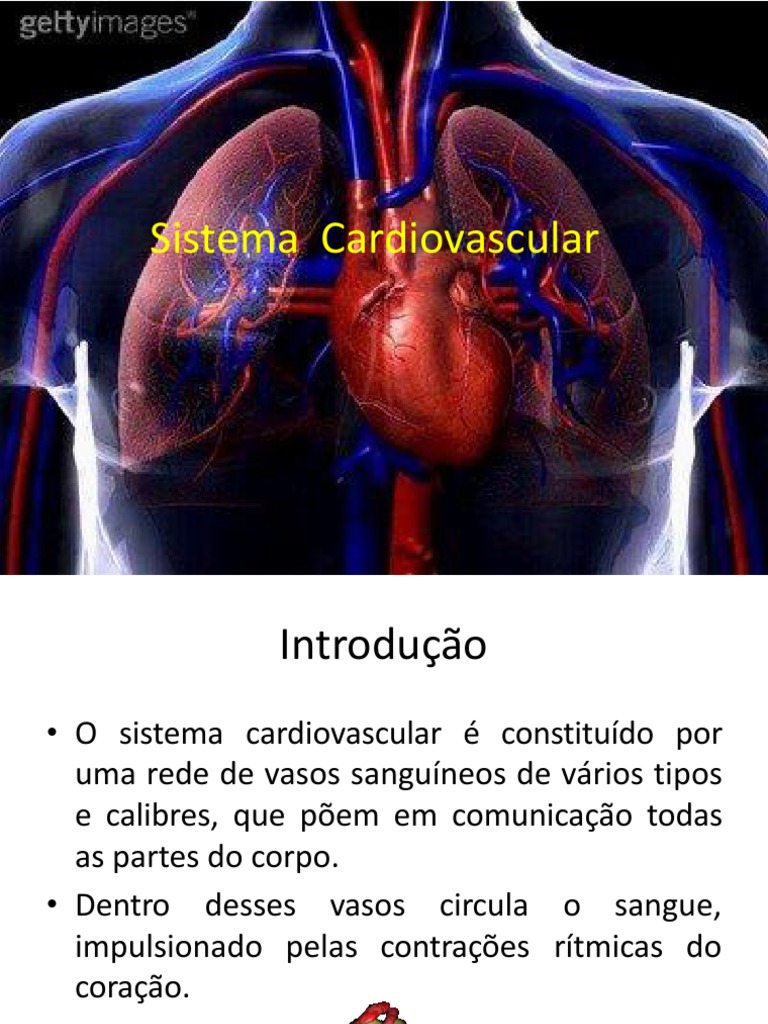 Sistema Cardiovascular | PDF | Coração | Ventrículo (coração)