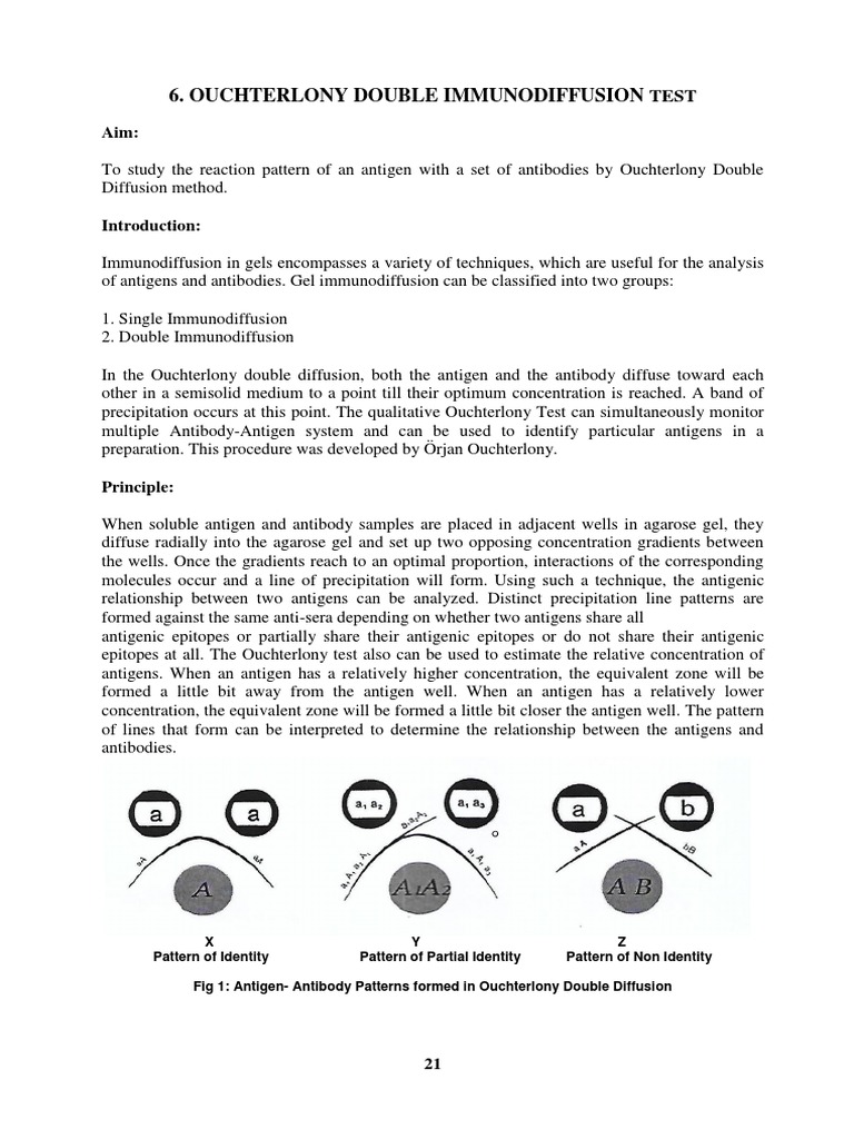 Double Immunodiffusion Test | PDF | Antibody | Polyclonal B Cell Response
