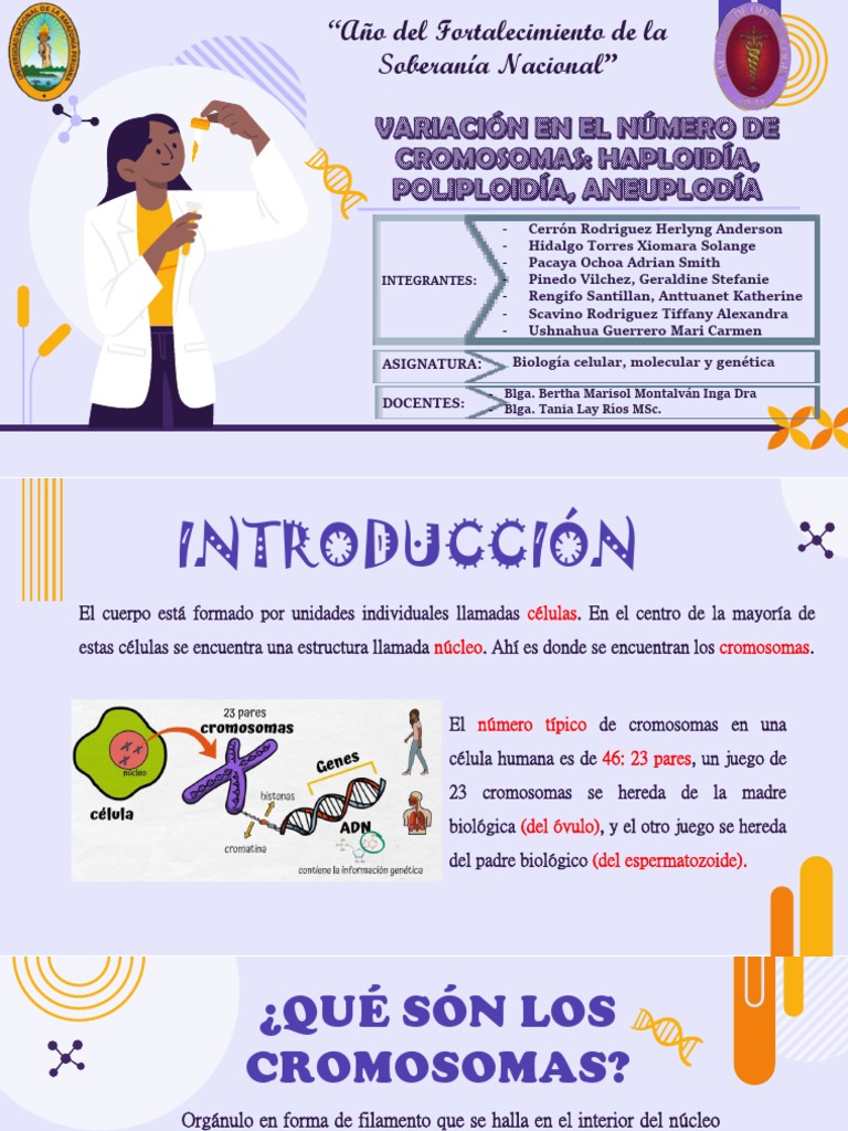 Seminario 09-1 | PDF | Cromosoma | Mitosis