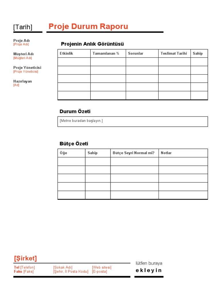 Proje Durum Raporu | PDF